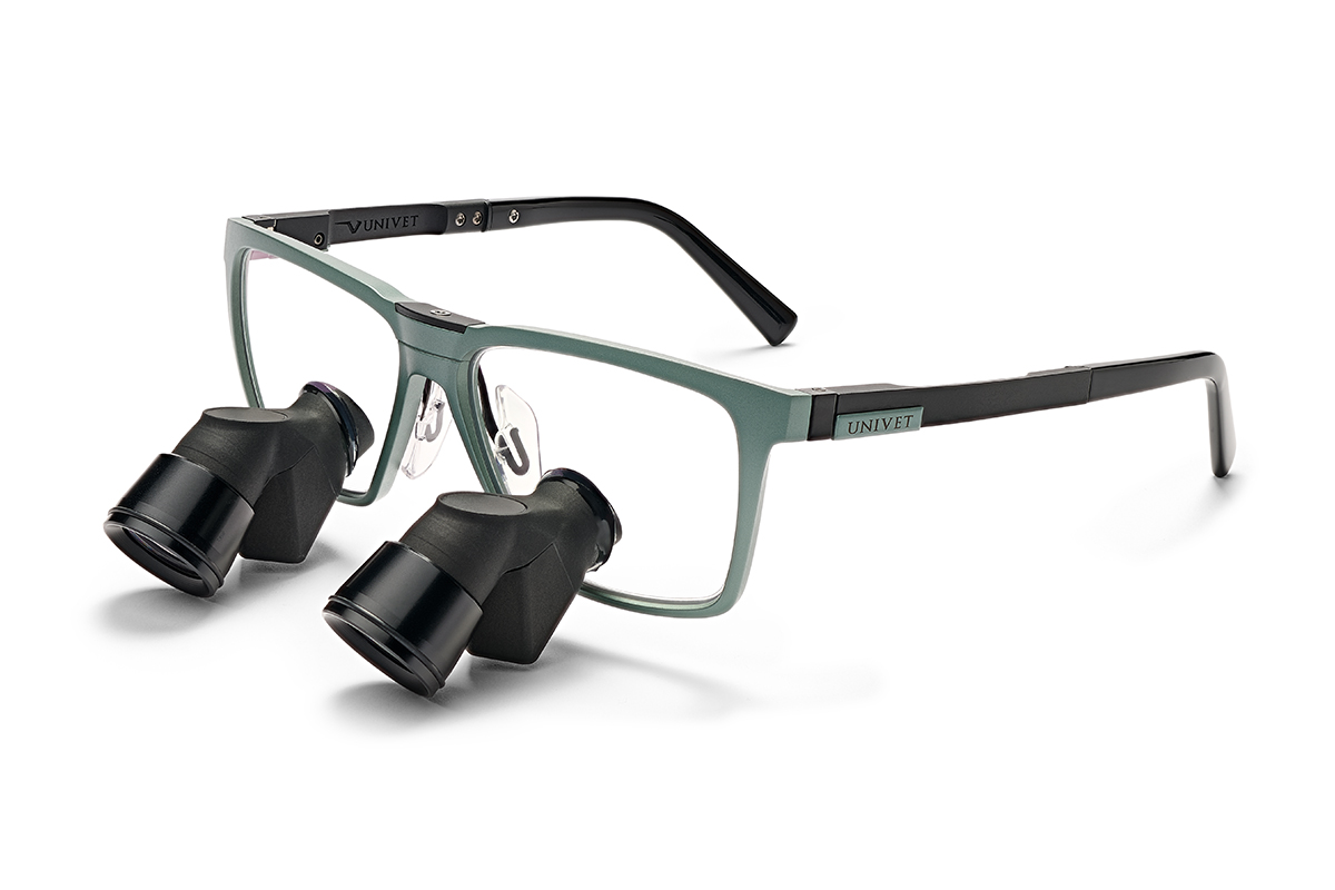 Univet ONE Ergo Advanced – Lupas Ergonómicas